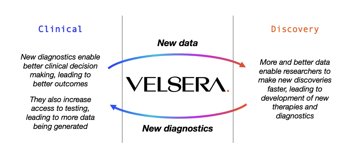 About Us - Company Information | Velsera